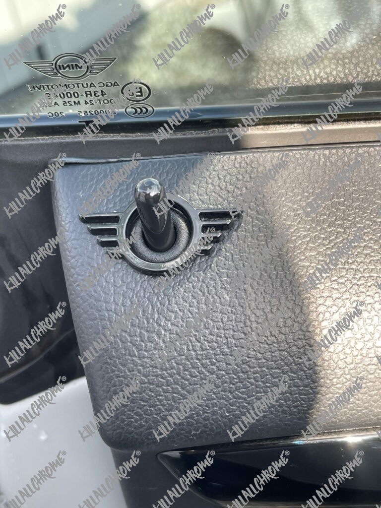 MINI Gen 1,2,3 Door Pin Surround Badge LCI Gloss Black – KillAllChrome®